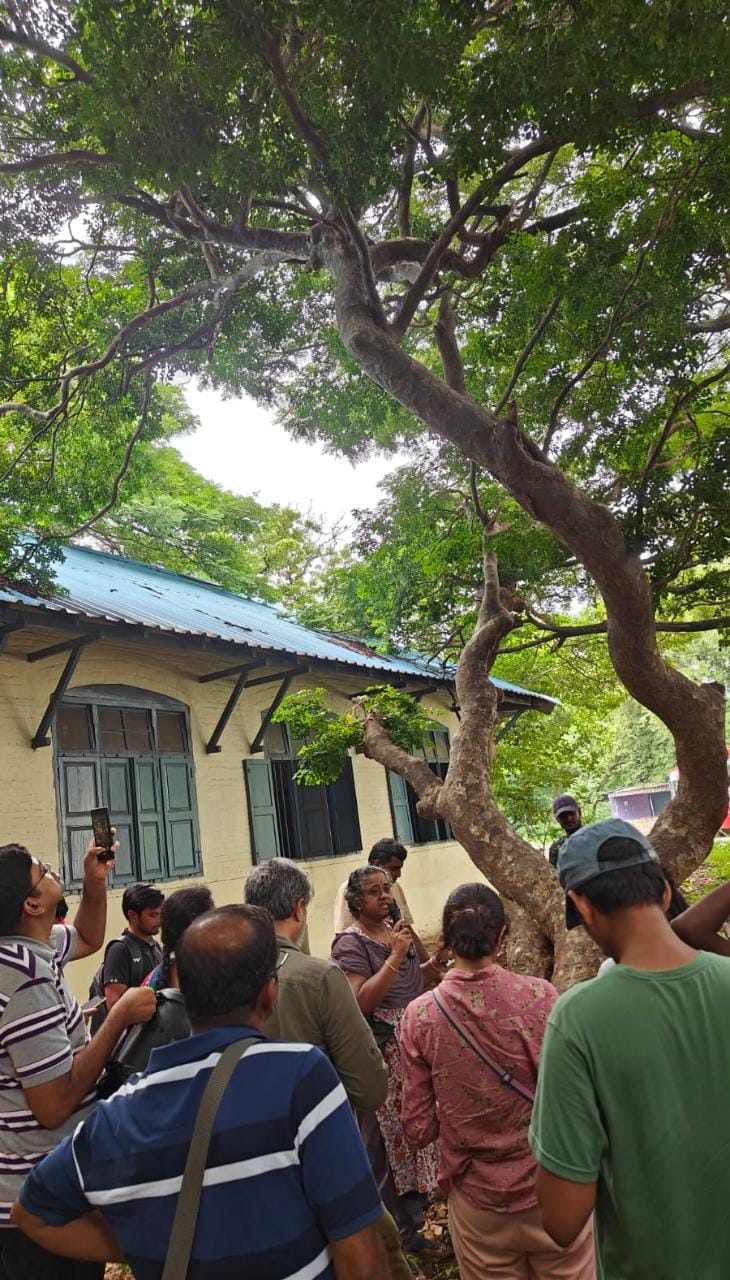 A walk with the Heritage trees of Chennai – Adyar Times